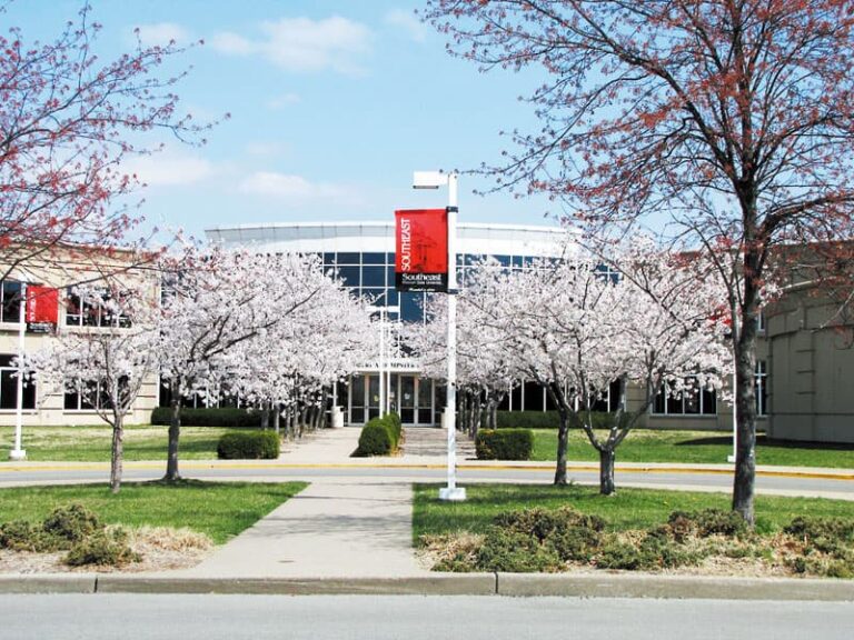 JAAC日米学術センターの口コミ評判は？デメリットも詳しく解説！ | スグナラ〜今すぐ始める習い事～